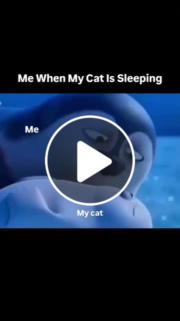 my little baby sleeping#pets #for you - NewsBreak