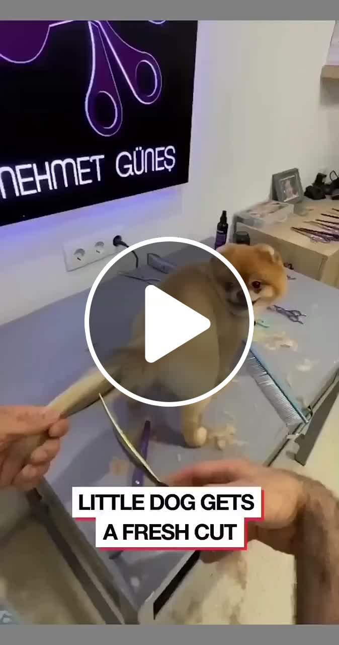 How beautiful 😍 - NewsBreak