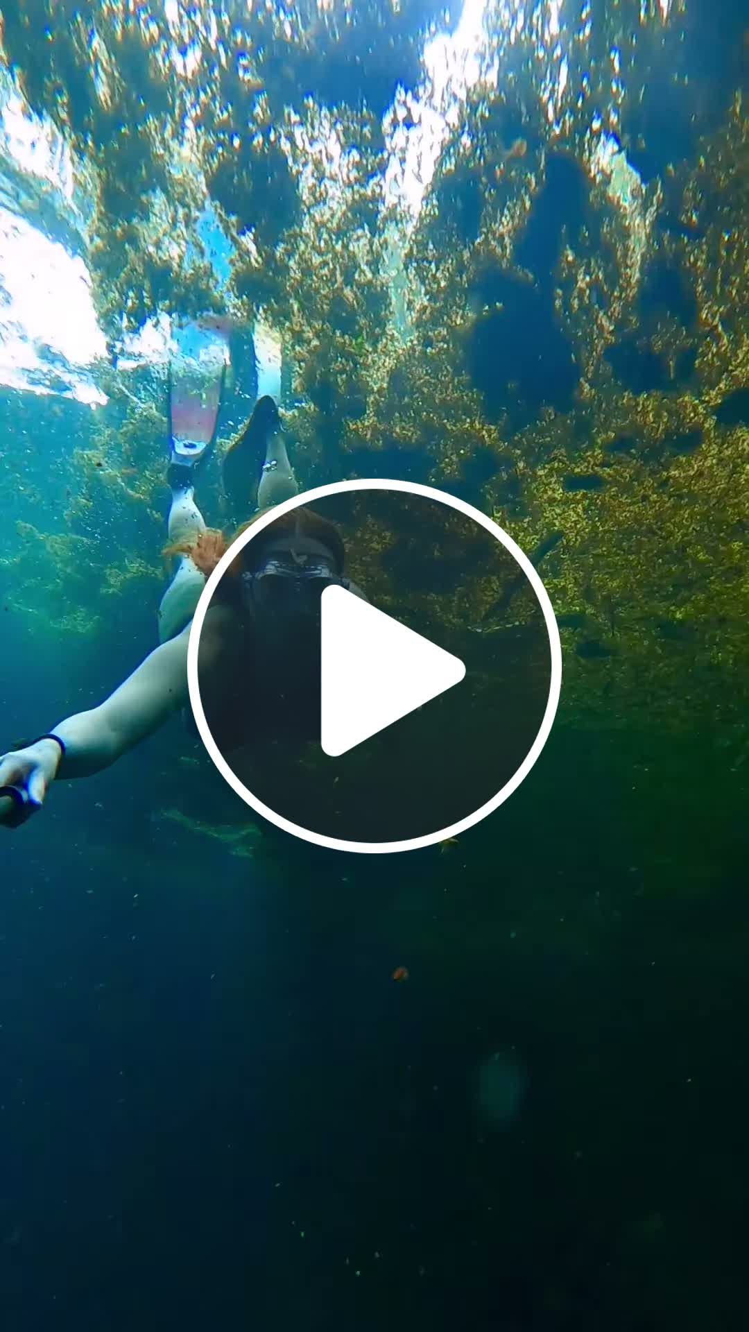 Almsot lost my fin to the abyss 😑 @SlingItBikinis - NewsBreak