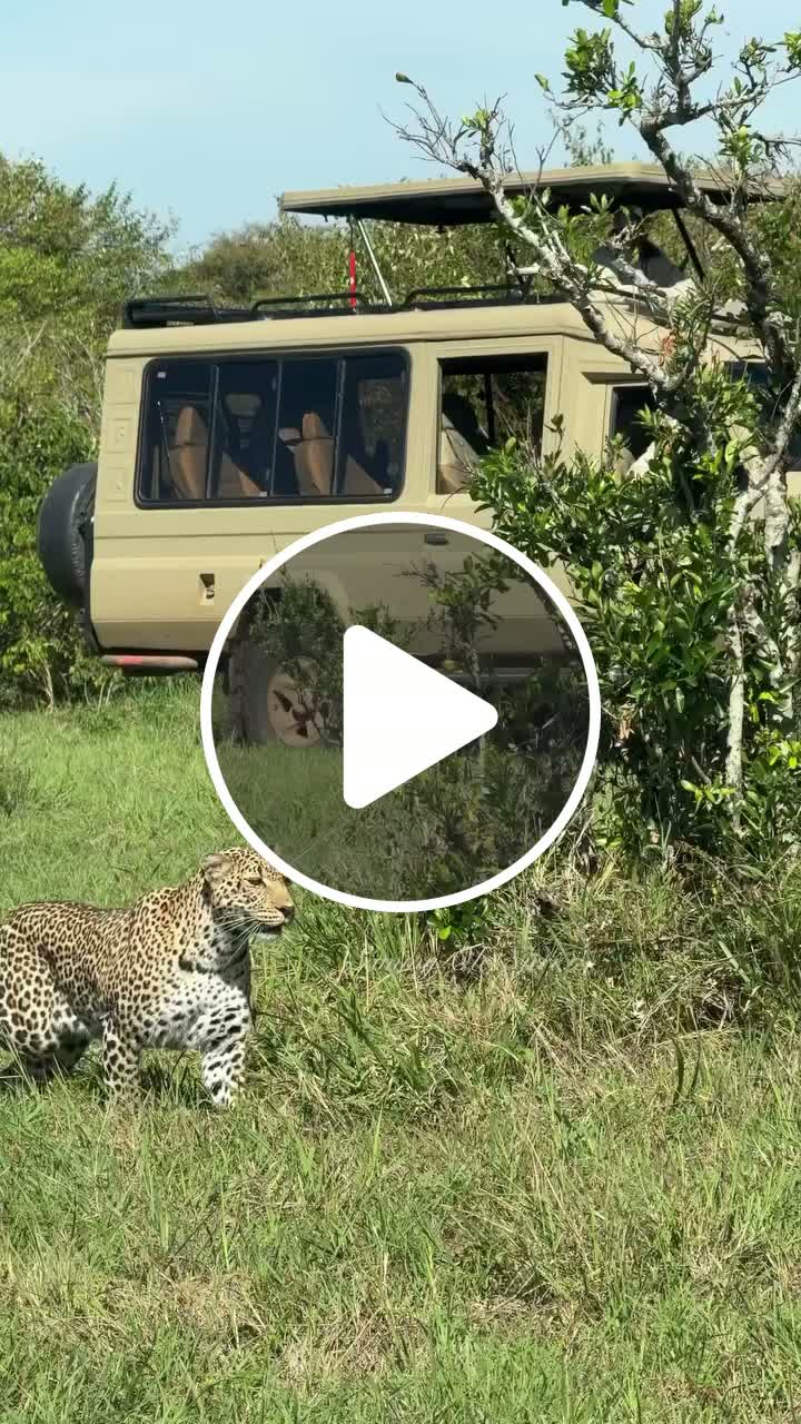 #Safari #nature #wildlife #tour #amazing - NewsBreak