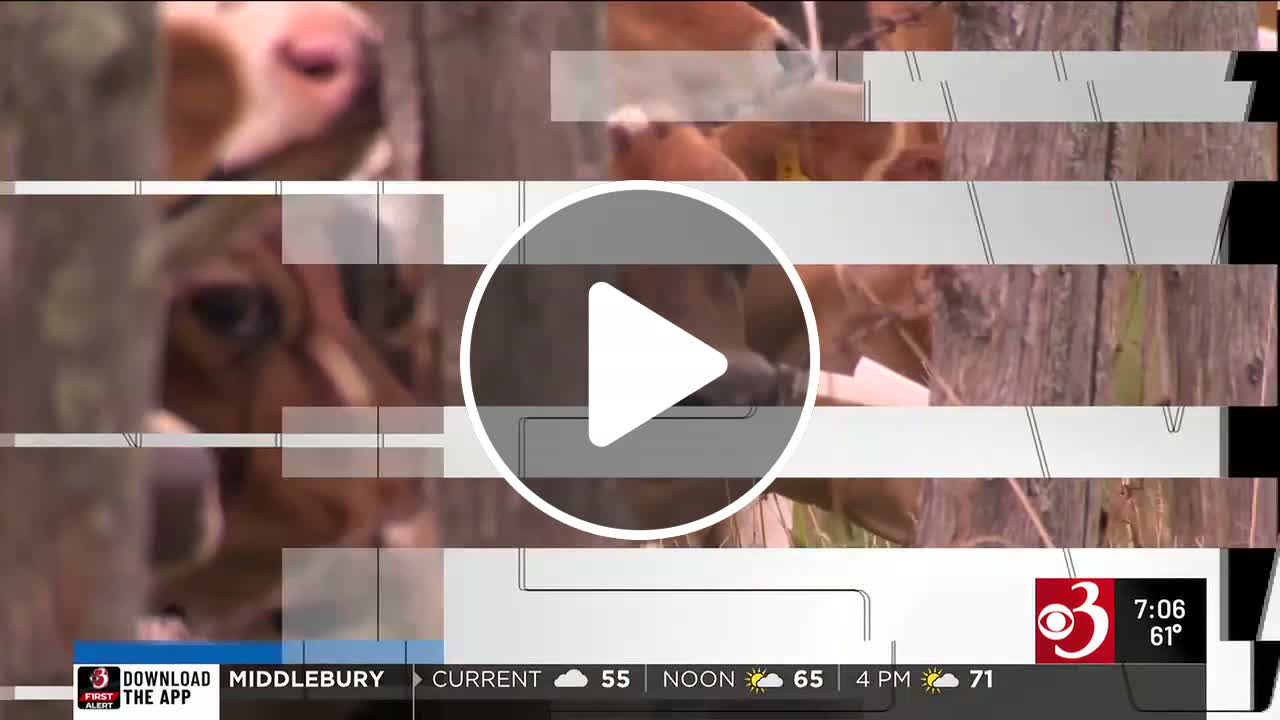 Inflation refund checks are now being mailed to eligible New Yorkers - NewsBreak