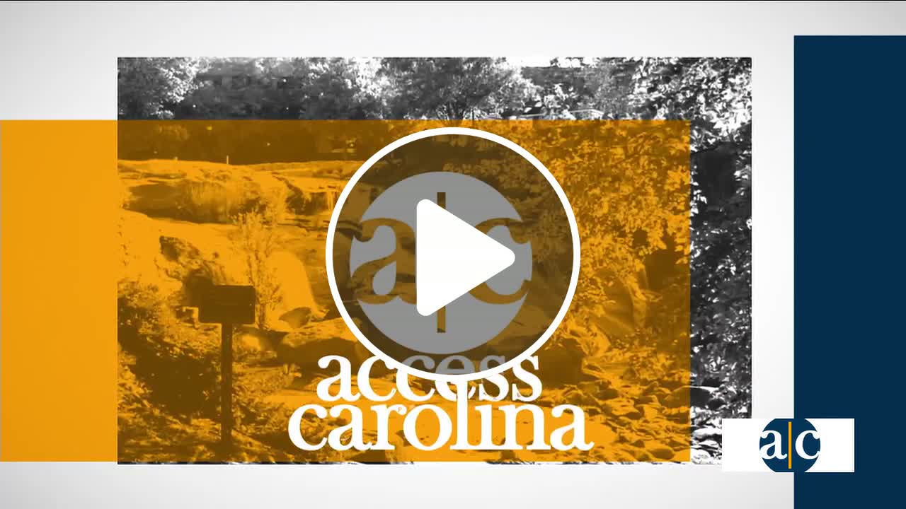 The circus is coming to town next month - NewsBreak