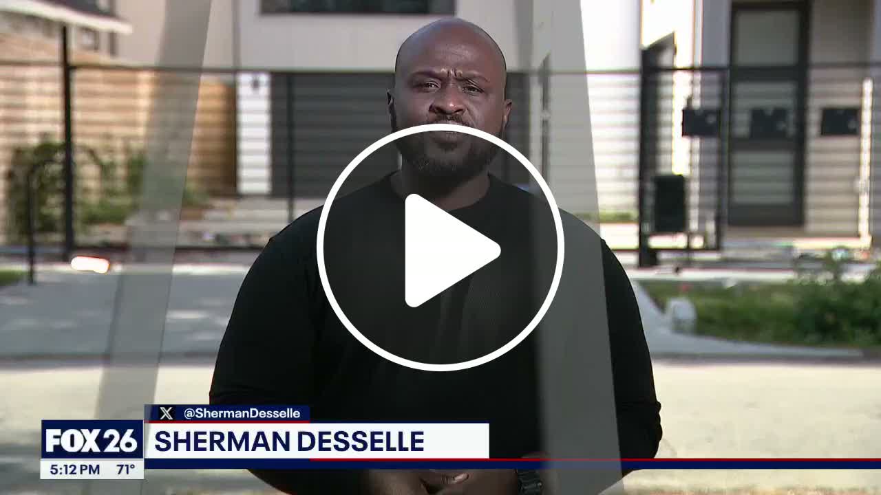 Endangered sea turtles treated after East Coast cold snap - NewsBreak