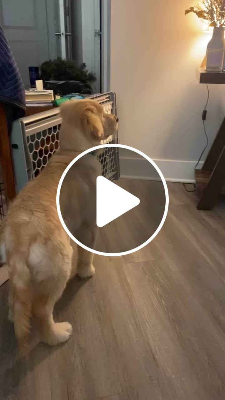 How can I tell her this is not real😂 - NewsBreak