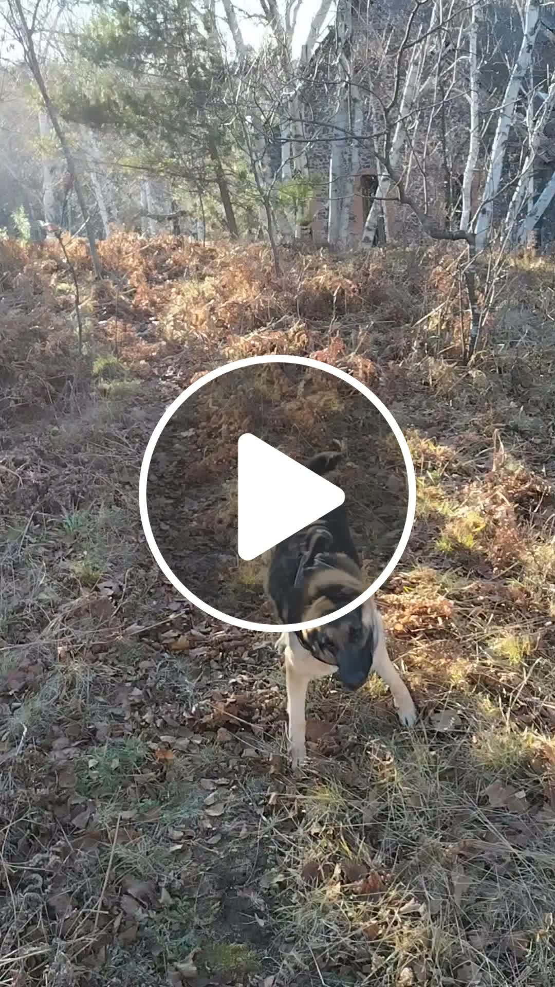 walk on a ridge - NewsBreak