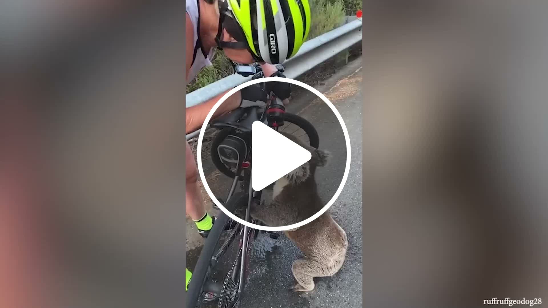 100 Random Acts of Kindness That Will Make You Cry! - 022 - NewsBreak