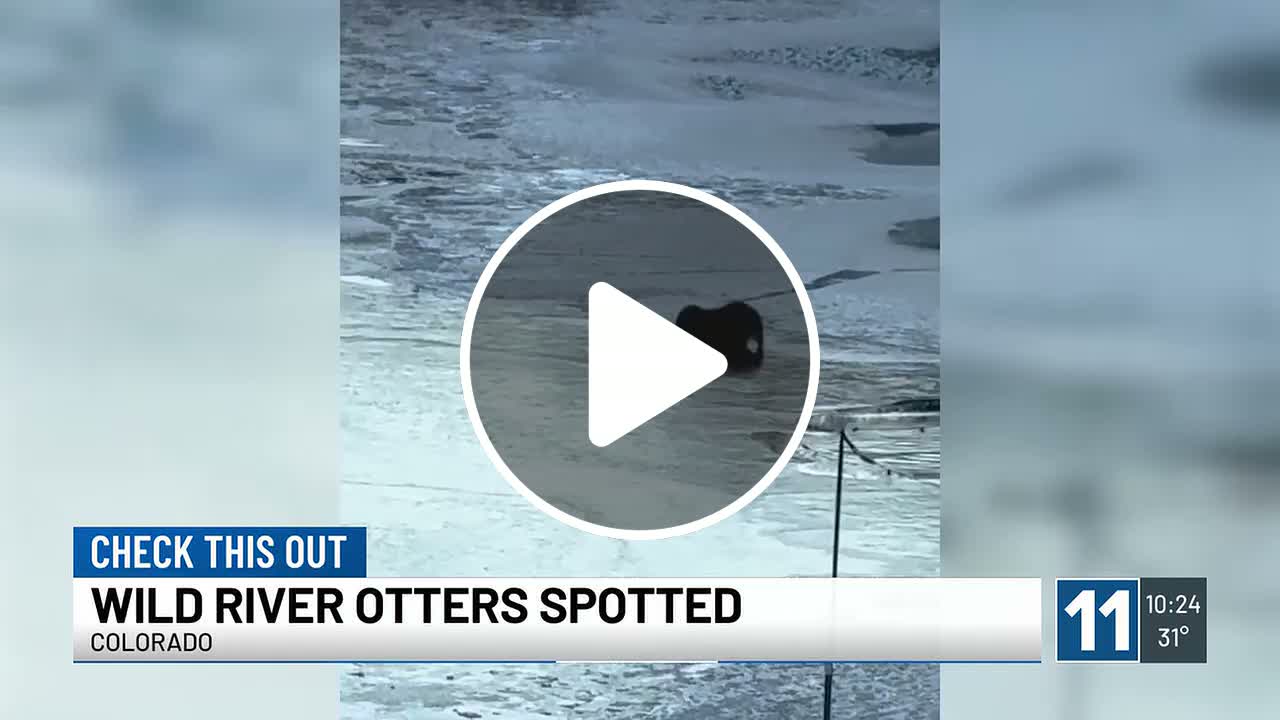 Bruno Mars bringing ‘The Romantic Tour’ to Falcon Stadium this fall ...