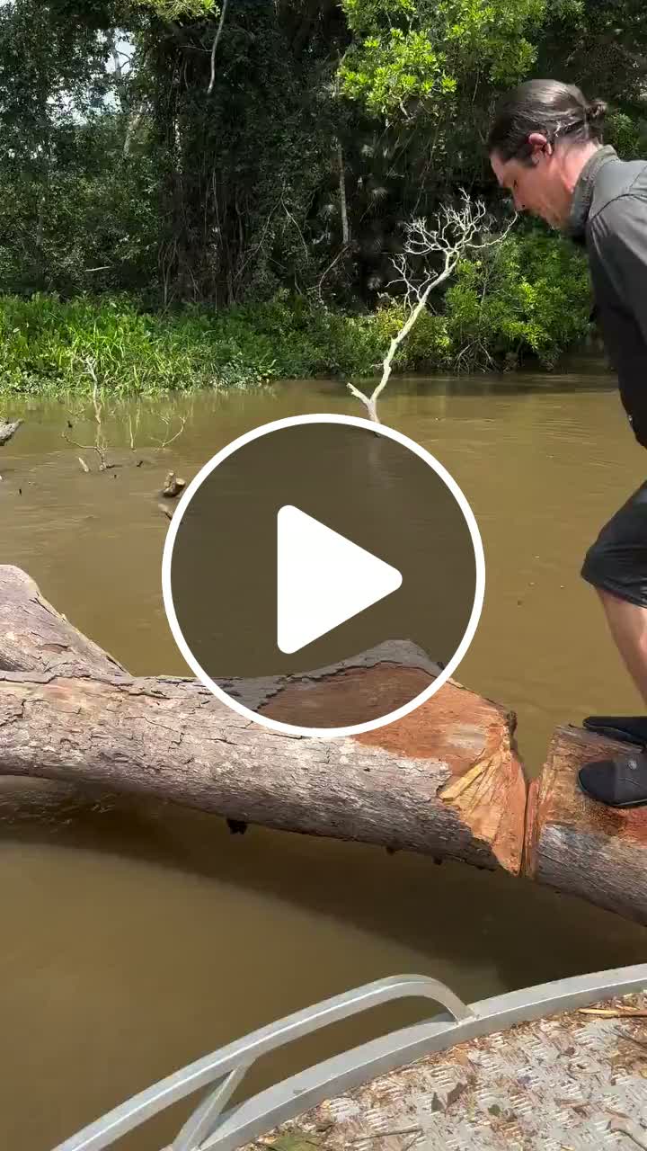 This guy wasn’t able to break the log on the one side. So he jumps to ...