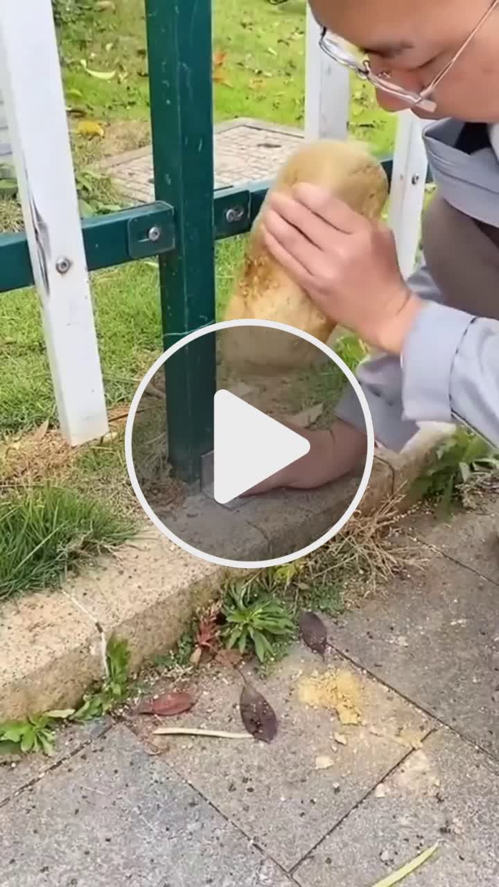 This nail rivet gun has so much utility Suits all construction and ...