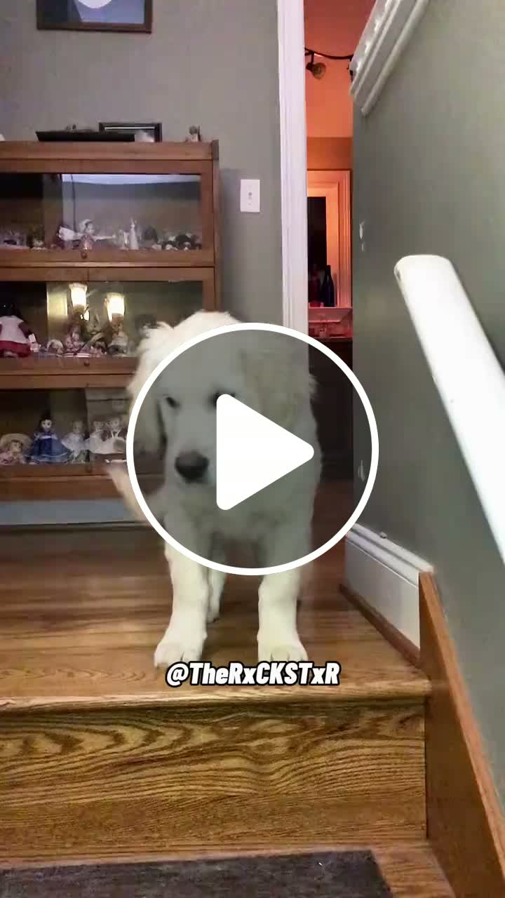 Im Definitely Not Going Down Those Stairs - NewsBreak