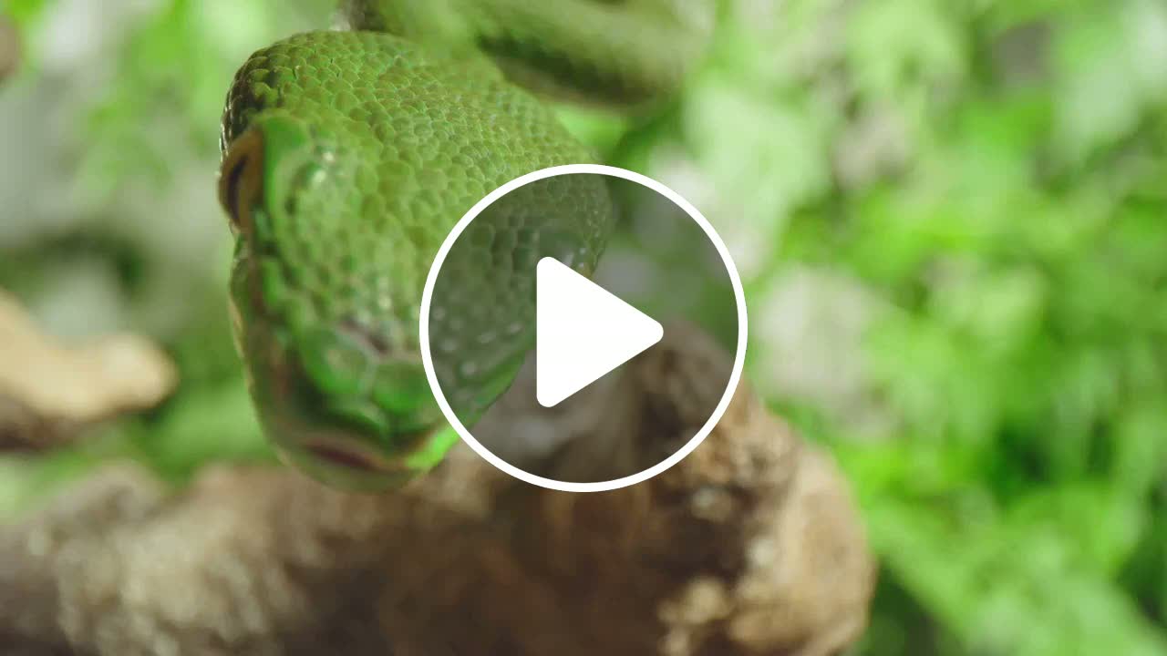 Why Scientists Are Rethinking How Important “Invisible” Hearing Is for ...