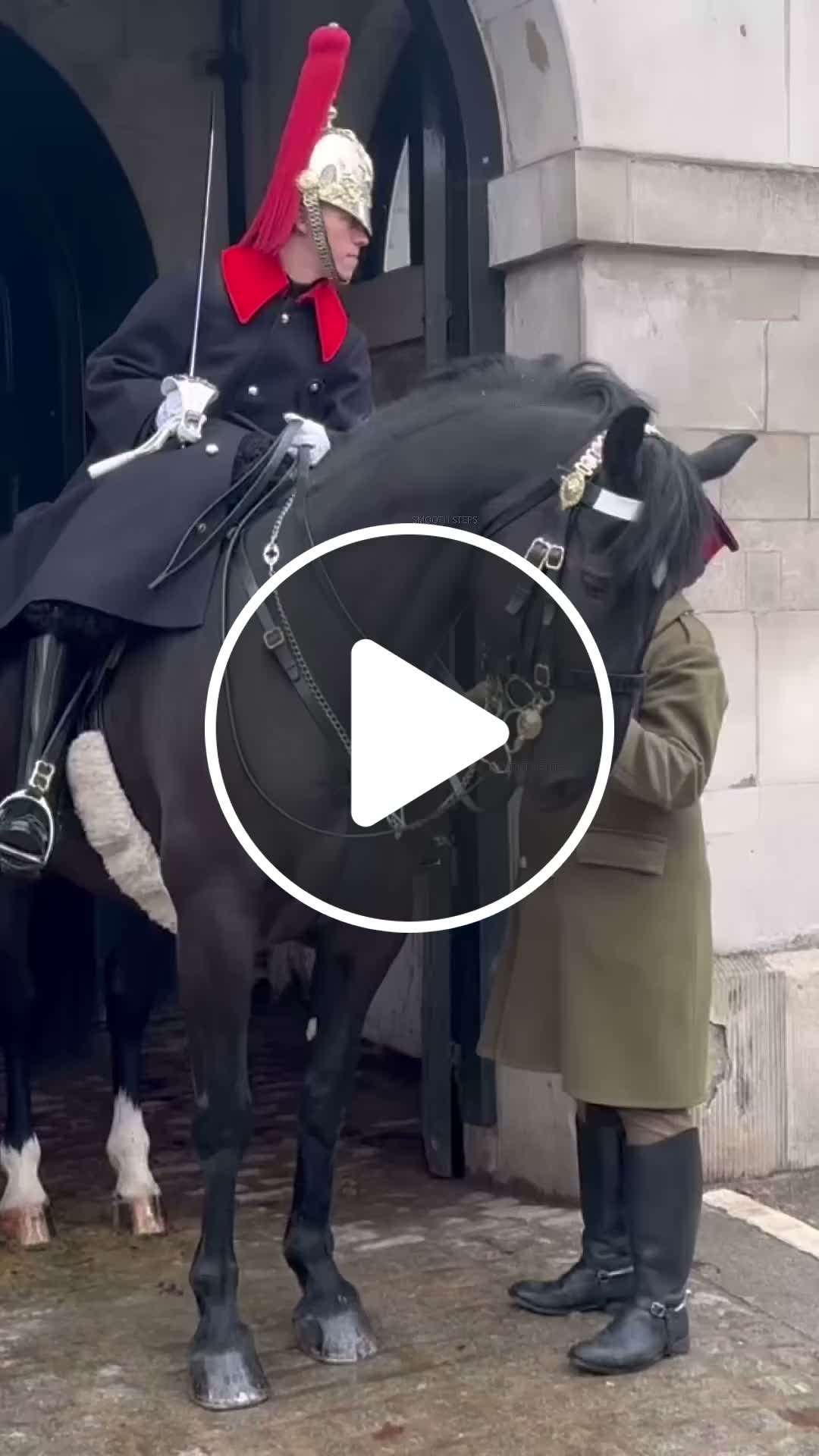 CoH helps to fix the King’s Guard’s coat - TEAM WORK #kingsguard ...