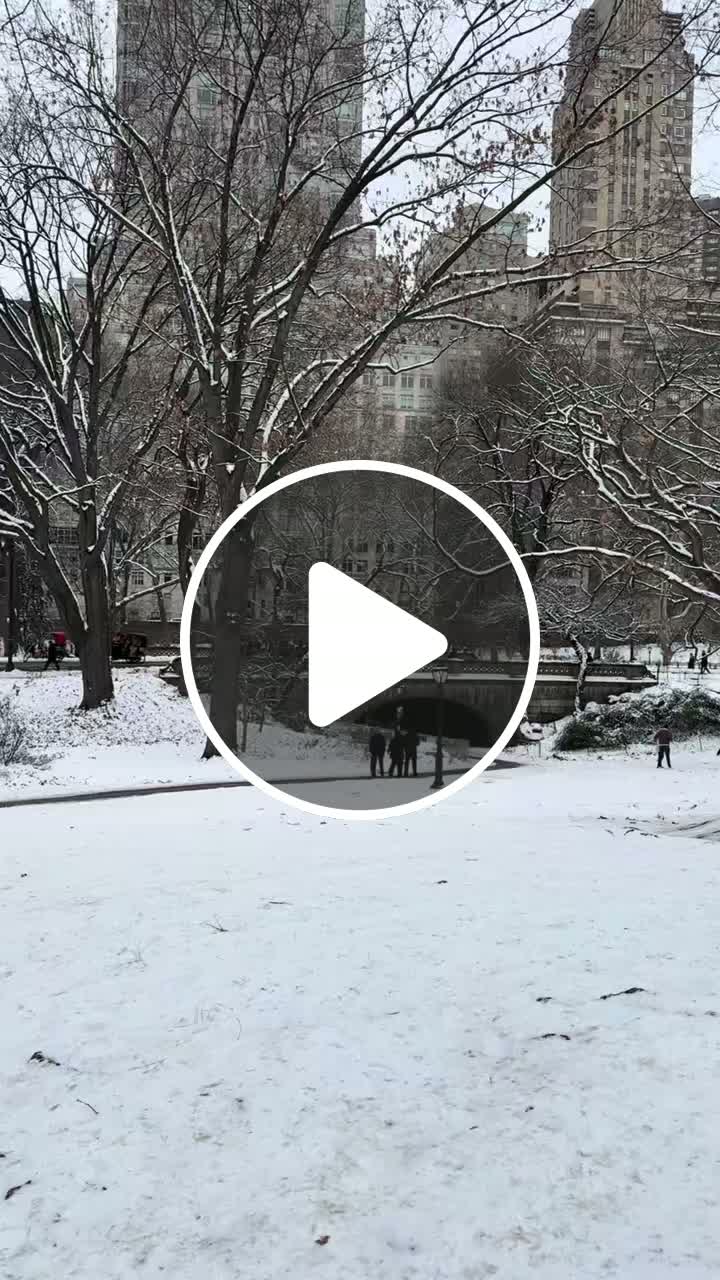 Nothing beats winter magic in Central Park ️ Experience the beauty of ...