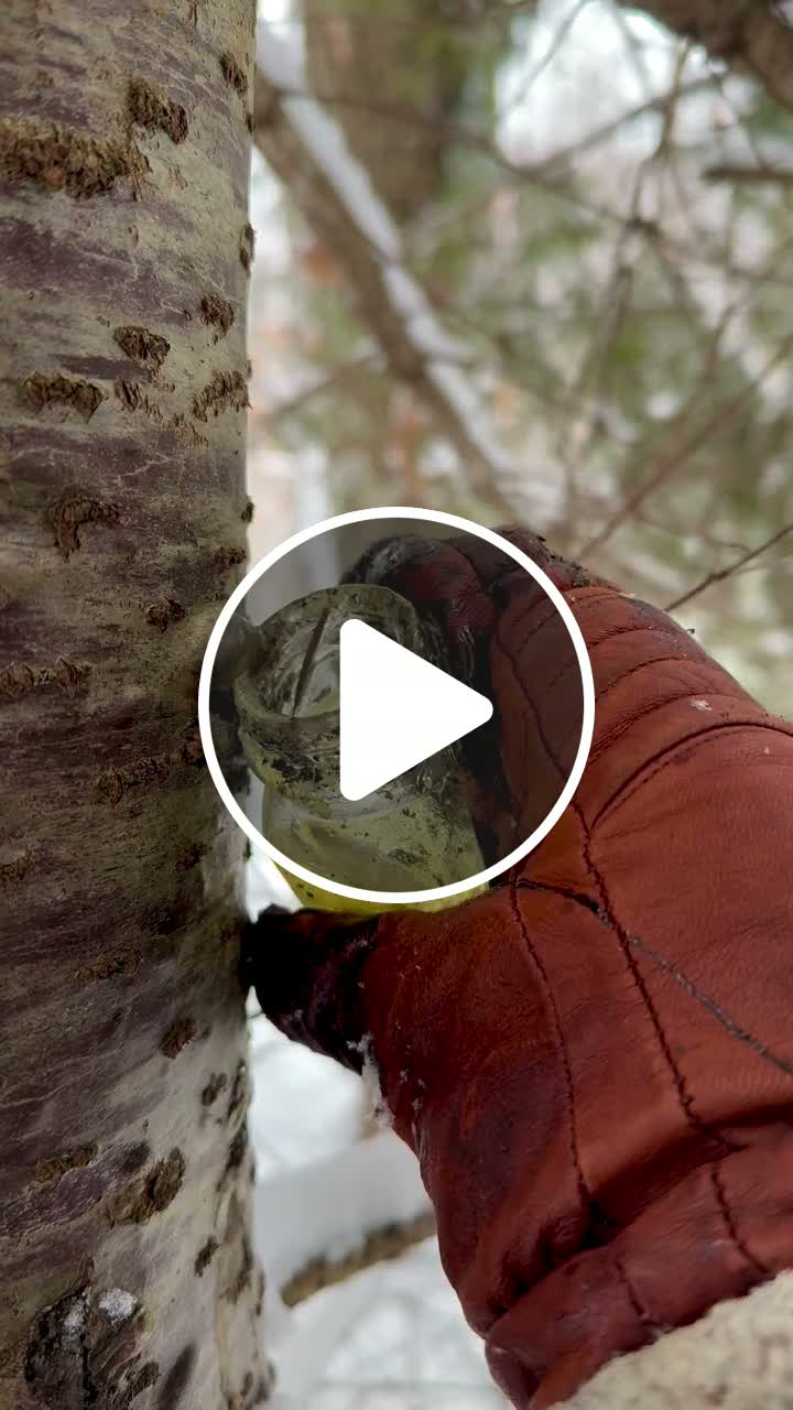 Wait for it.... - NewsBreak
