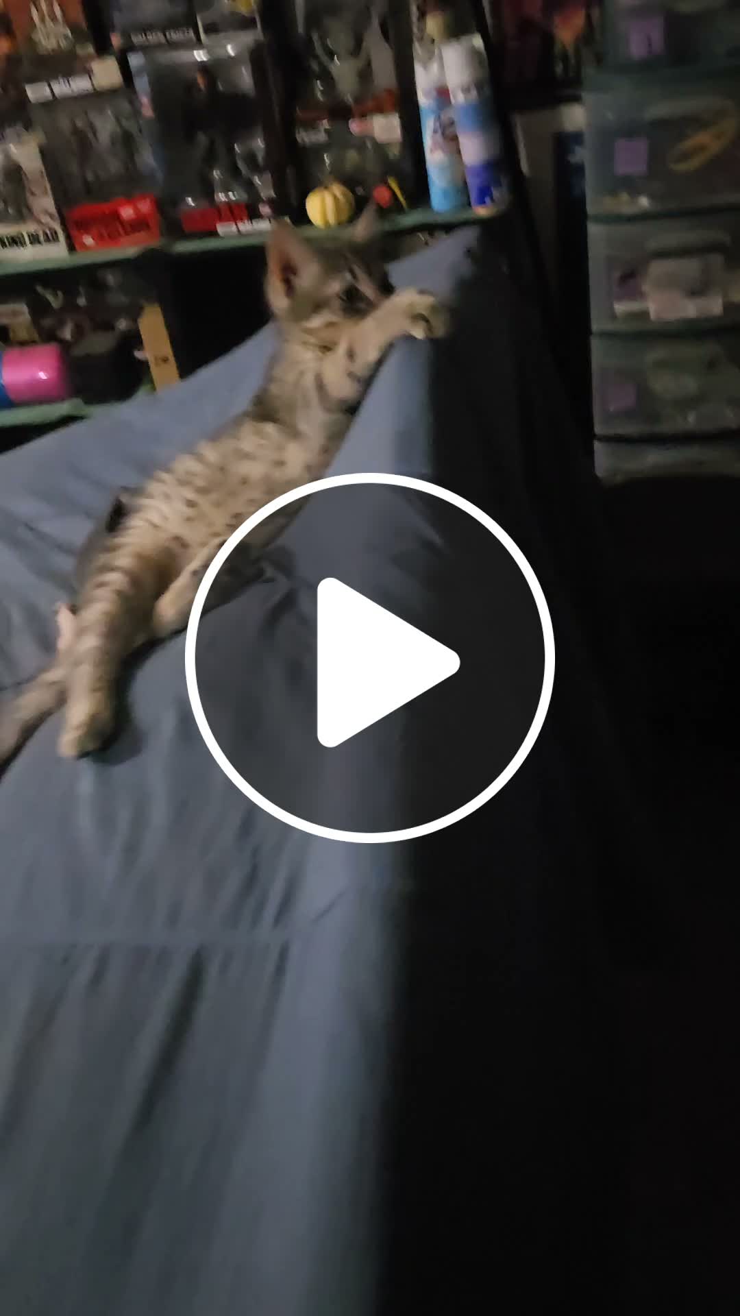 a spunky moment - NewsBreak