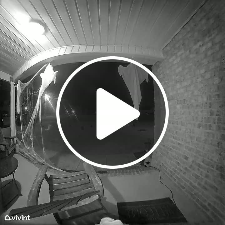 Falling meteor lights up night sky across Middle Tennessee - NewsBreak