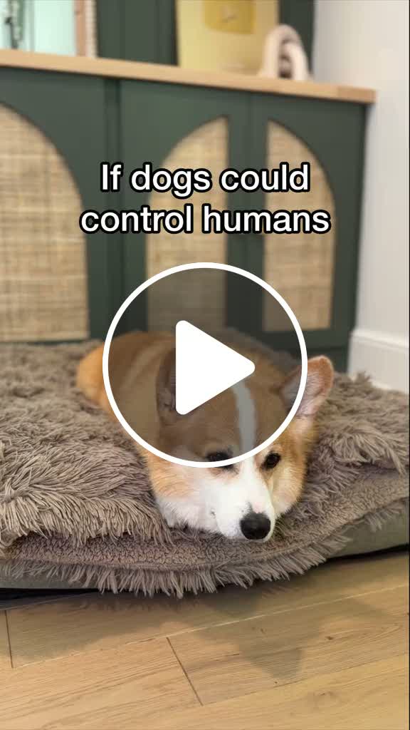 Time to change the channel! - NewsBreak