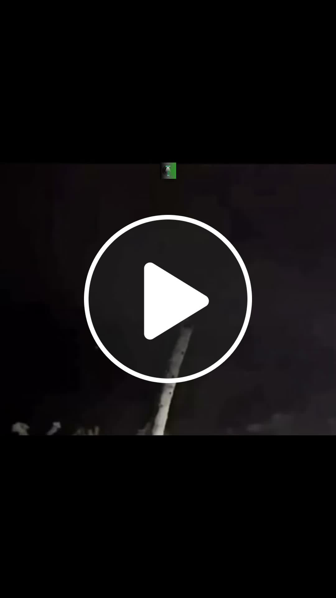 Strange creature spotted😳 - NewsBreak