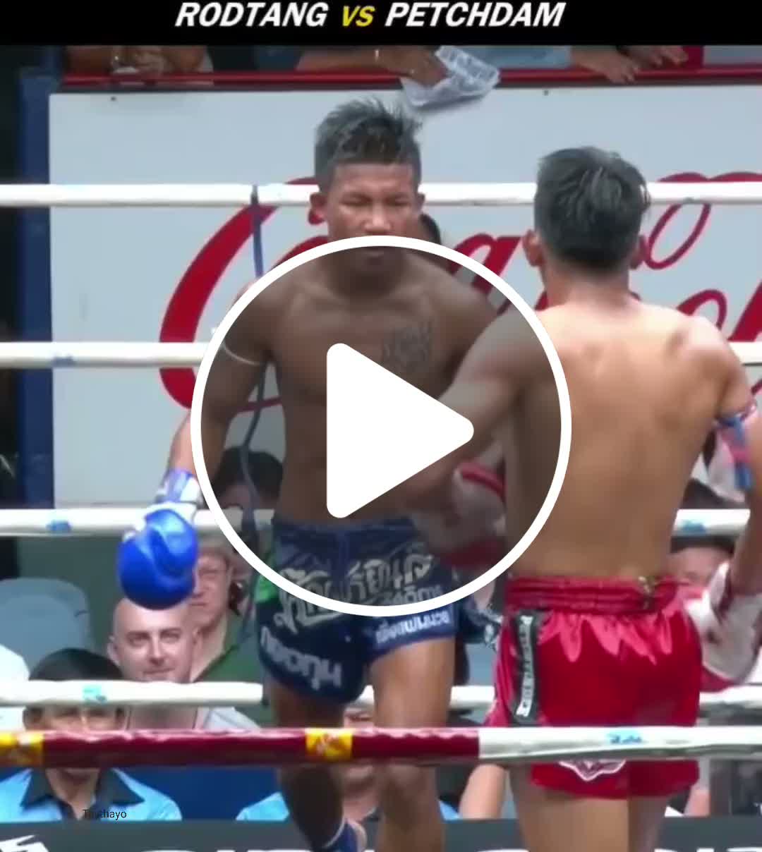 Epic Fight... - NewsBreak