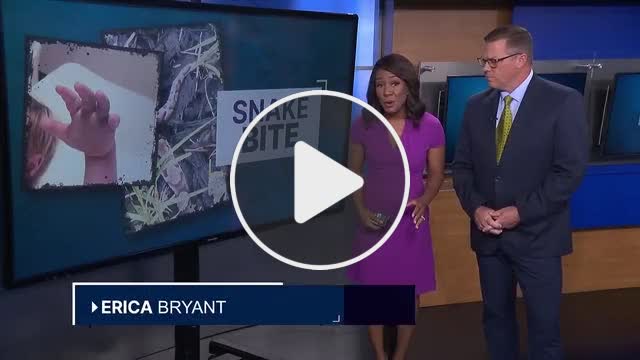 Copperhead snake bites child at daycare, 911 not contacted | WSOC-TV ...