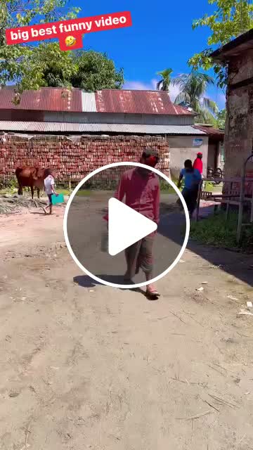 so funny 🤣🤣 - NewsBreak