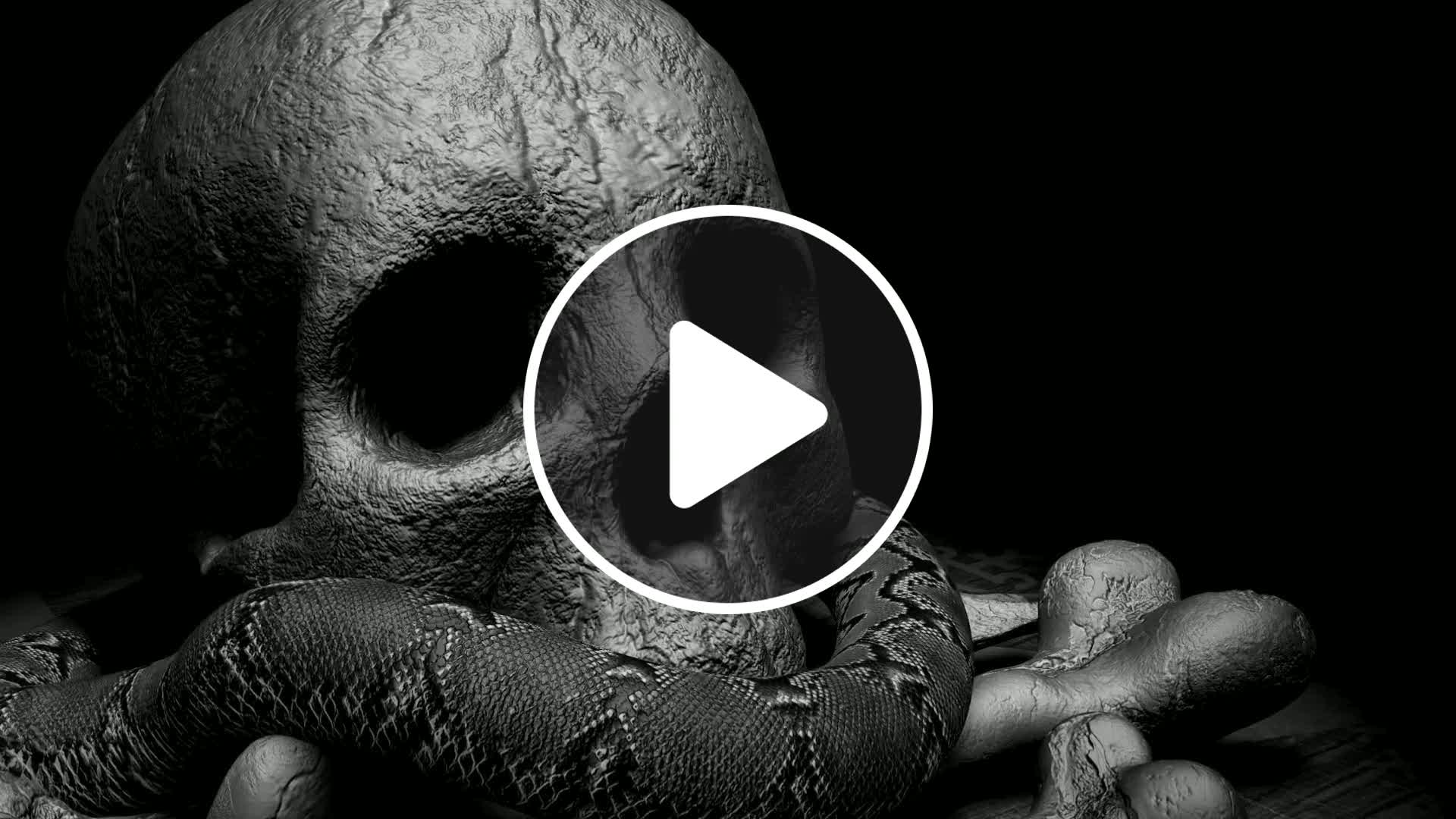 The Most Toxic Snake Species on Every Continent on Earth - NewsBreak