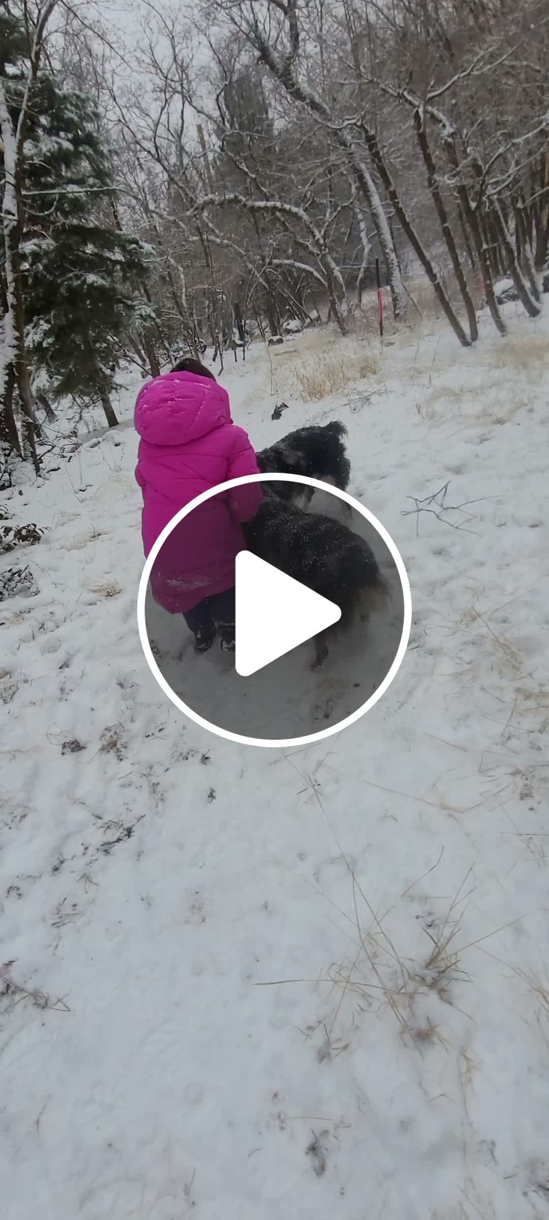having fun 💙 #mountains #granddaughter #nature #dogs #outdoors #snow ...