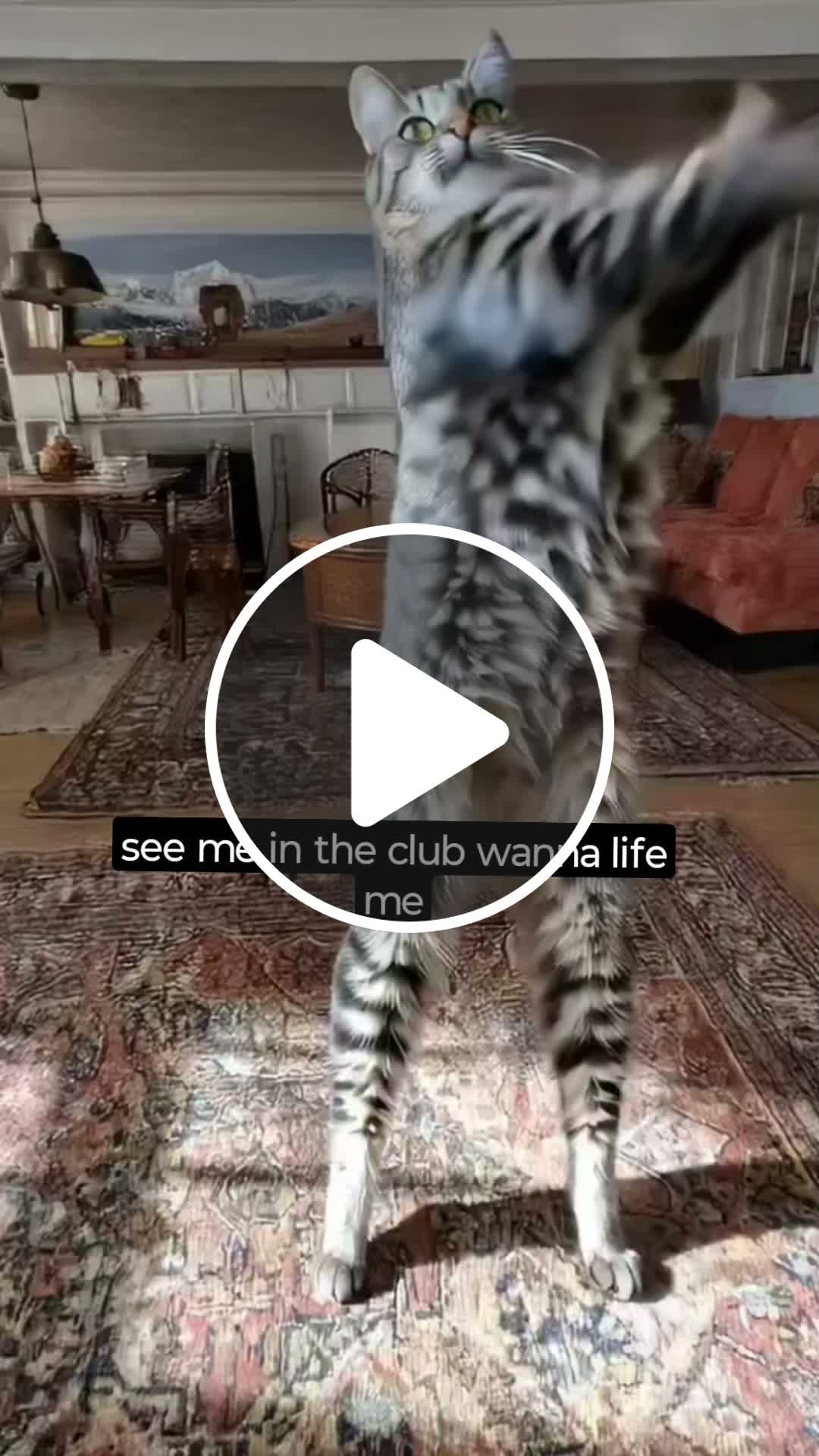 no joke In a real life - NewsBreak