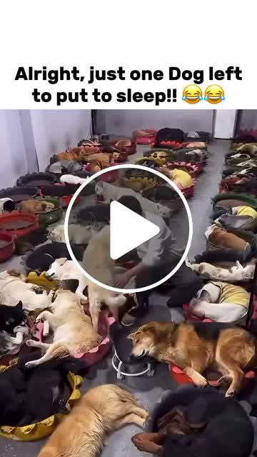 back to the start 😭 #bruh #subscribe #memes #meme #funny #shorts # ...