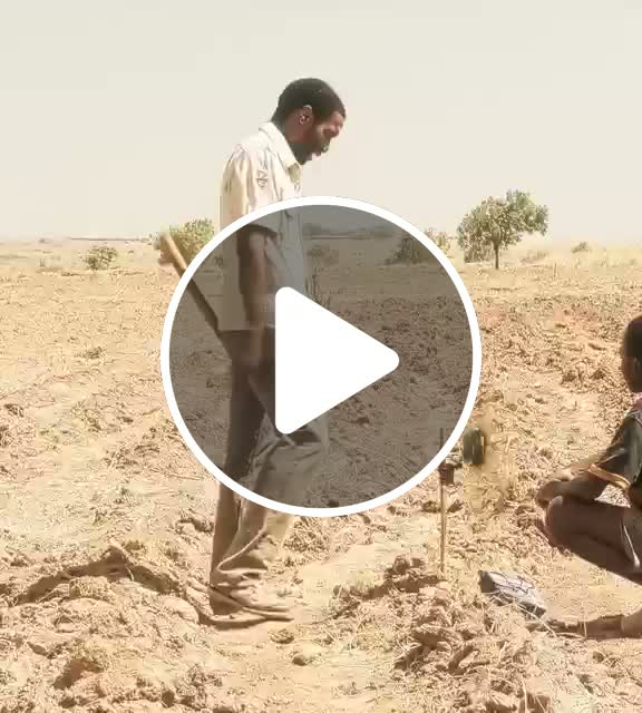 His son did it The Boy Who Harnessed the Wind Kamin - Emin & Jony ...