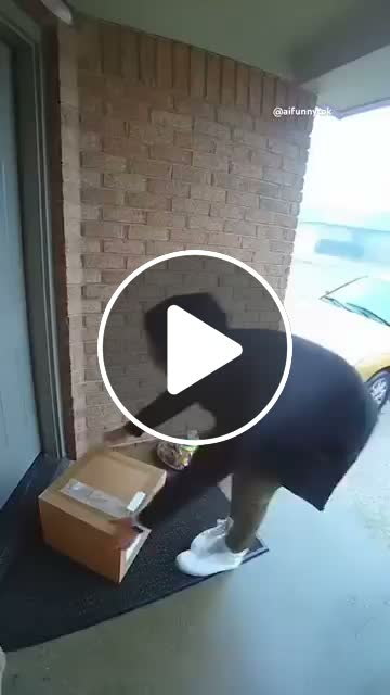 Package Thief Gets a Big Surprise! #porchpirate #funny #doorbellcamera ...