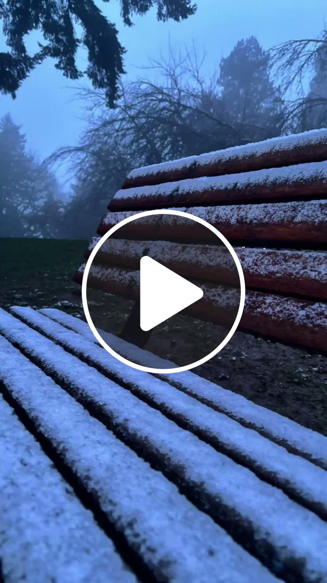 Snow at Council Crest Park in Portland - NewsBreak