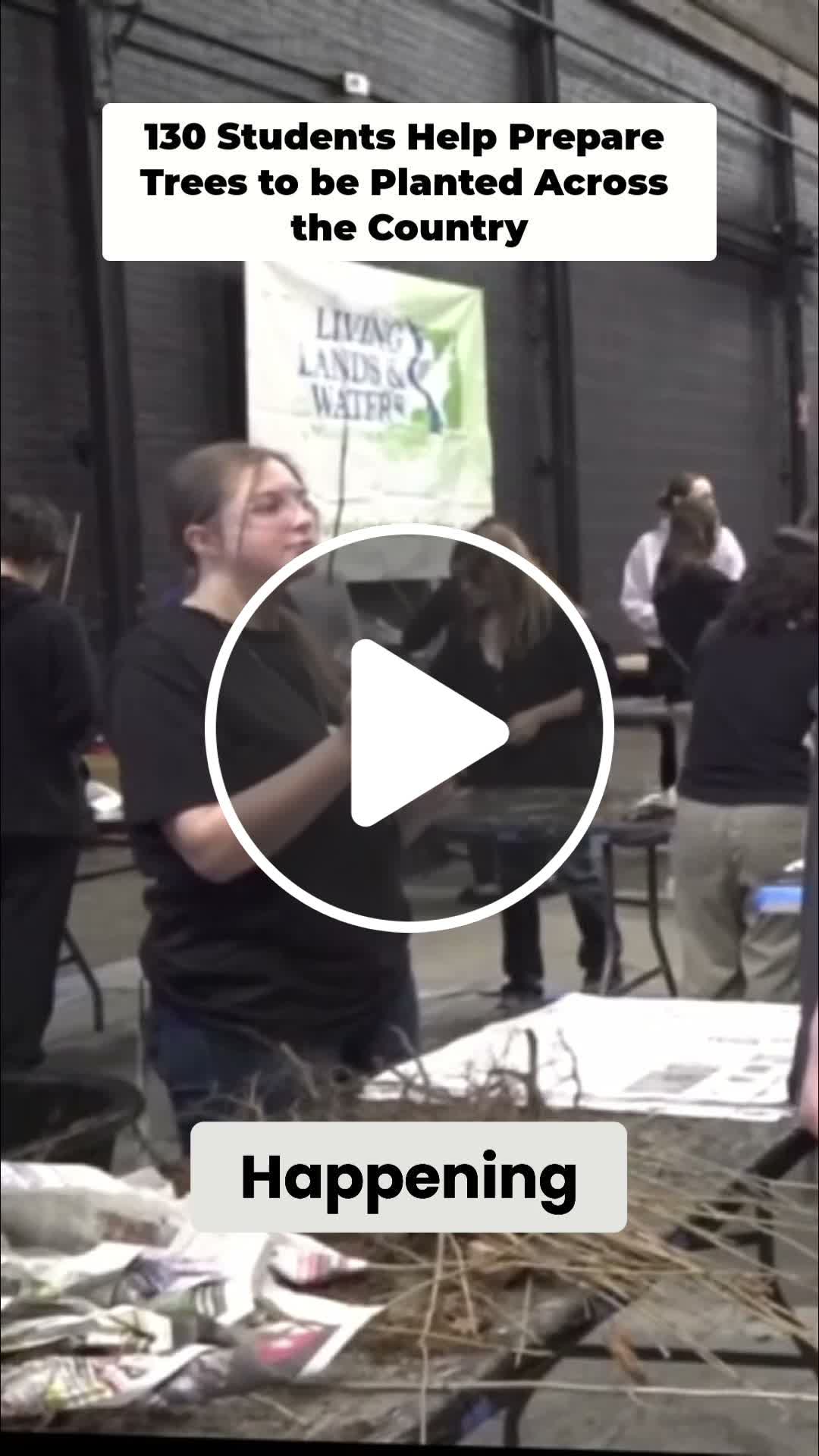 130 students gather to help prepare trees for planting - NewsBreak