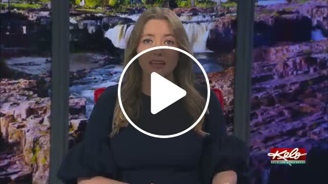 Golden eagle illegally shot in Potter County - NewsBreak