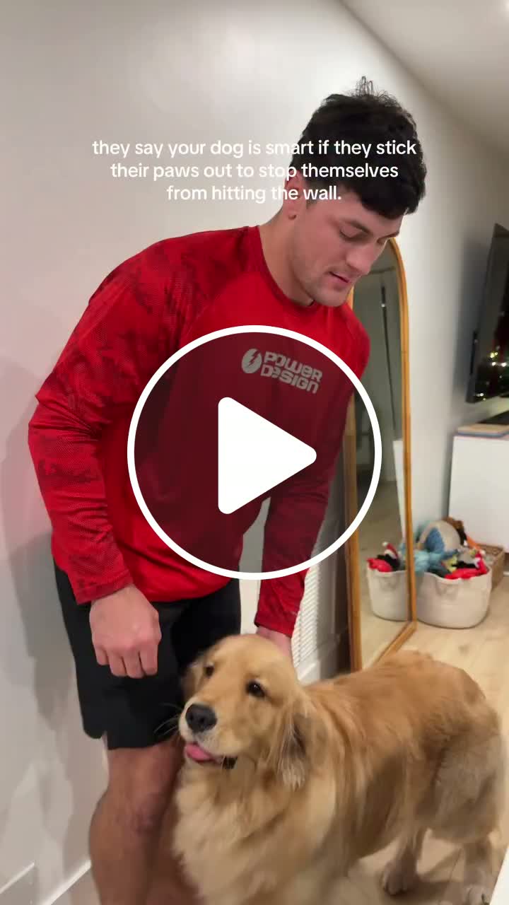 Bills vs. Eagles tickets 2025: Cheapest prices, seats, date for Week 17 ...