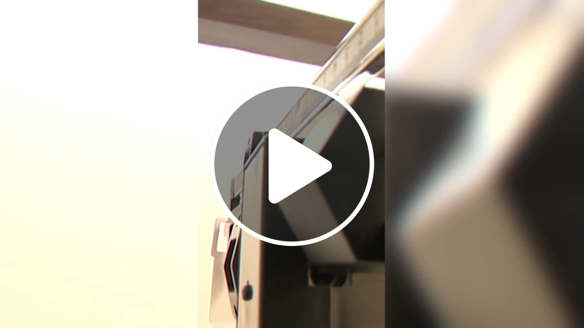 Iowa’s Trumpeter swan population reaches record nesting levels - NewsBreak