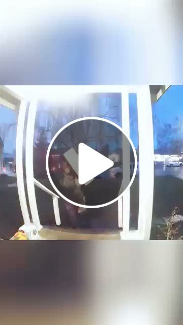 Delivery driver showed incredible thoughtfulness on the job! - NewsBreak