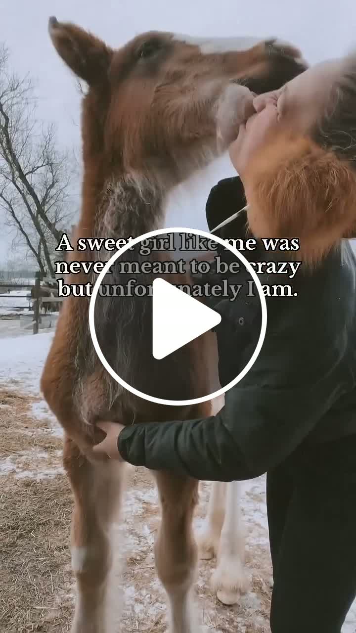 I blame the horses #itsamandalee #clydesdale #cowgirl - NewsBreak