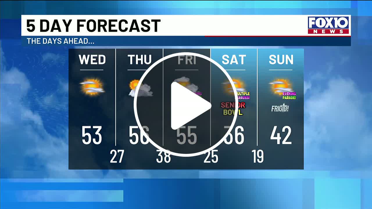 King Cake Week: Moka's Coffee House - NewsBreak