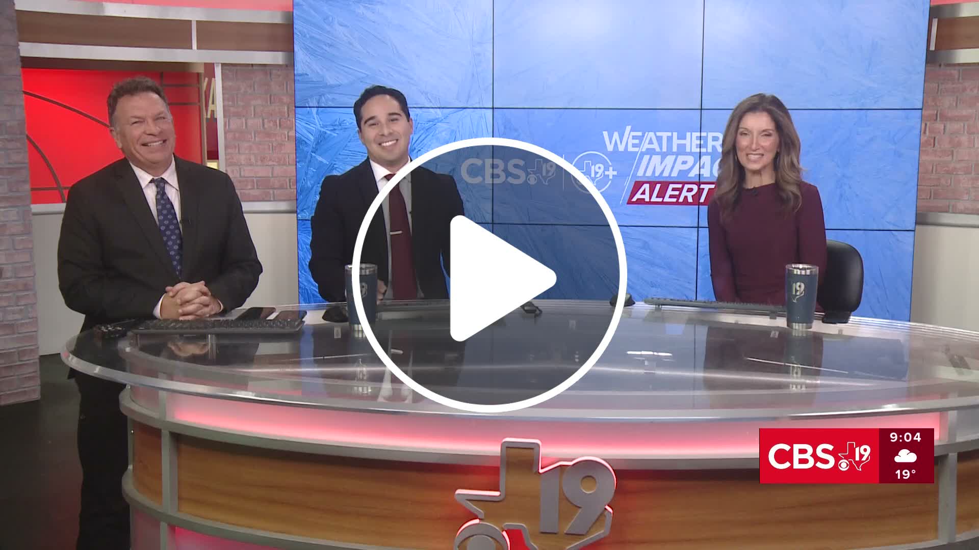 Squirrels celebrate winter wonderland in Texas - NewsBreak