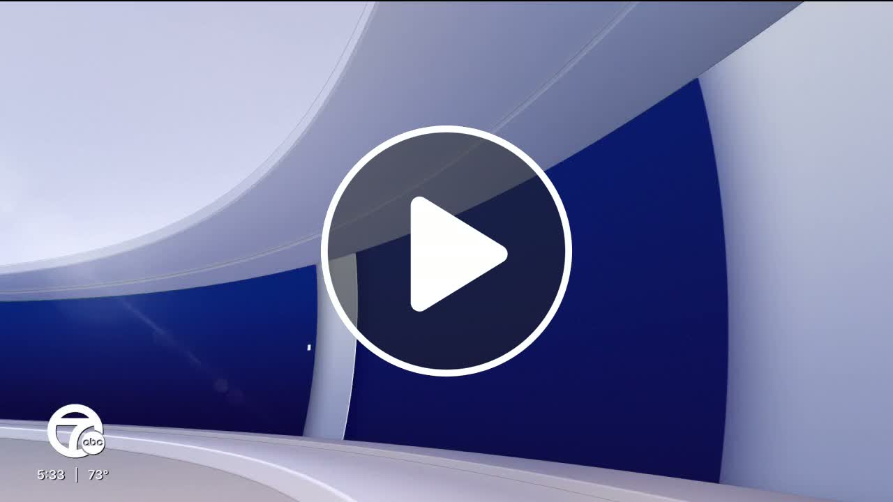 Thieves destroy nearly 75 Detroit fire hydrants for metal parts - NewsBreak