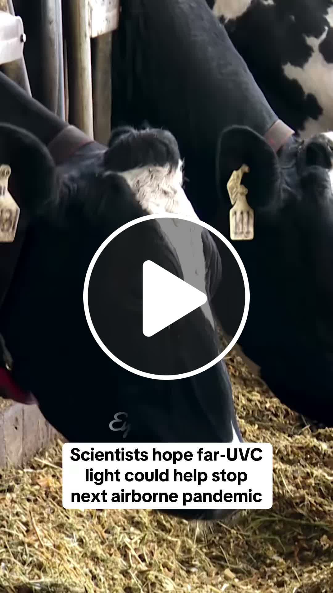 Far-UVC light is a form of ultraviolet light that can kill viruses and ...