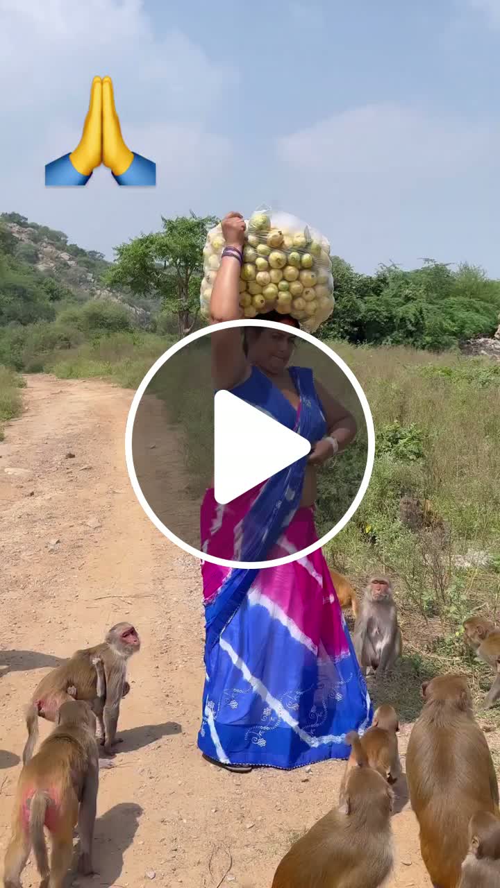 Actual meaning of monkey business - NewsBreak