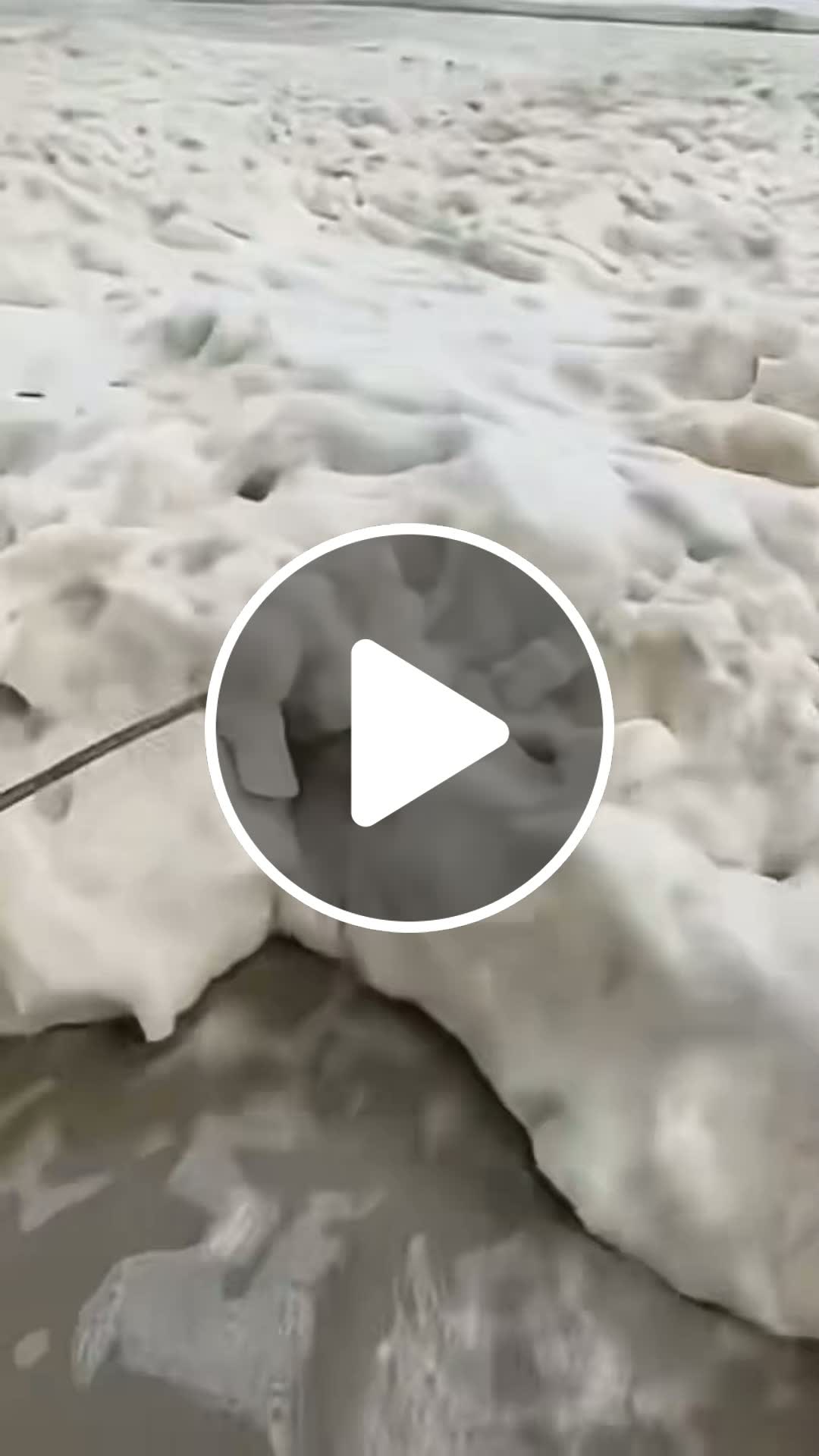 it's too short#funnydogsoftiktok #dog - NewsBreak