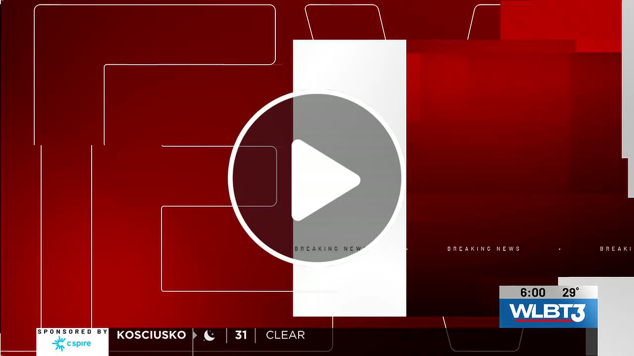 Jackson homeowner arrested after shooting person in woods - NewsBreak