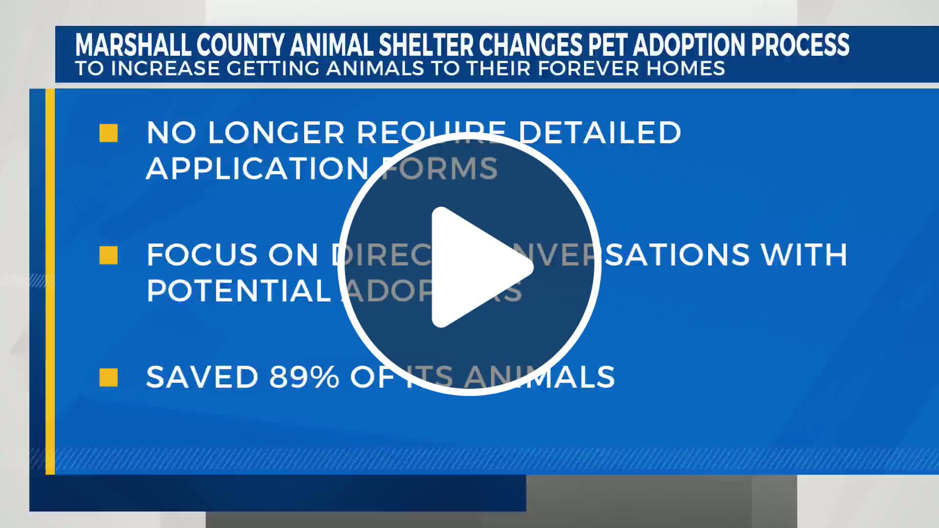 Marshall County Animal Shelter changes pet adoption process to increase ...