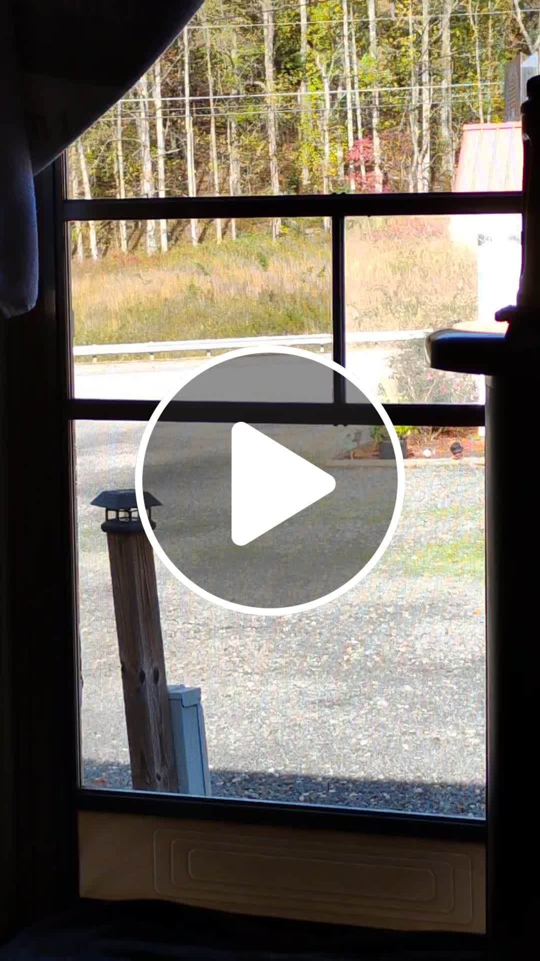 Loud ass shit. 🤣🤔😡🤬🙏💊😭 #traffic #loud #wtf #view #scoopz #cars #trucks ...