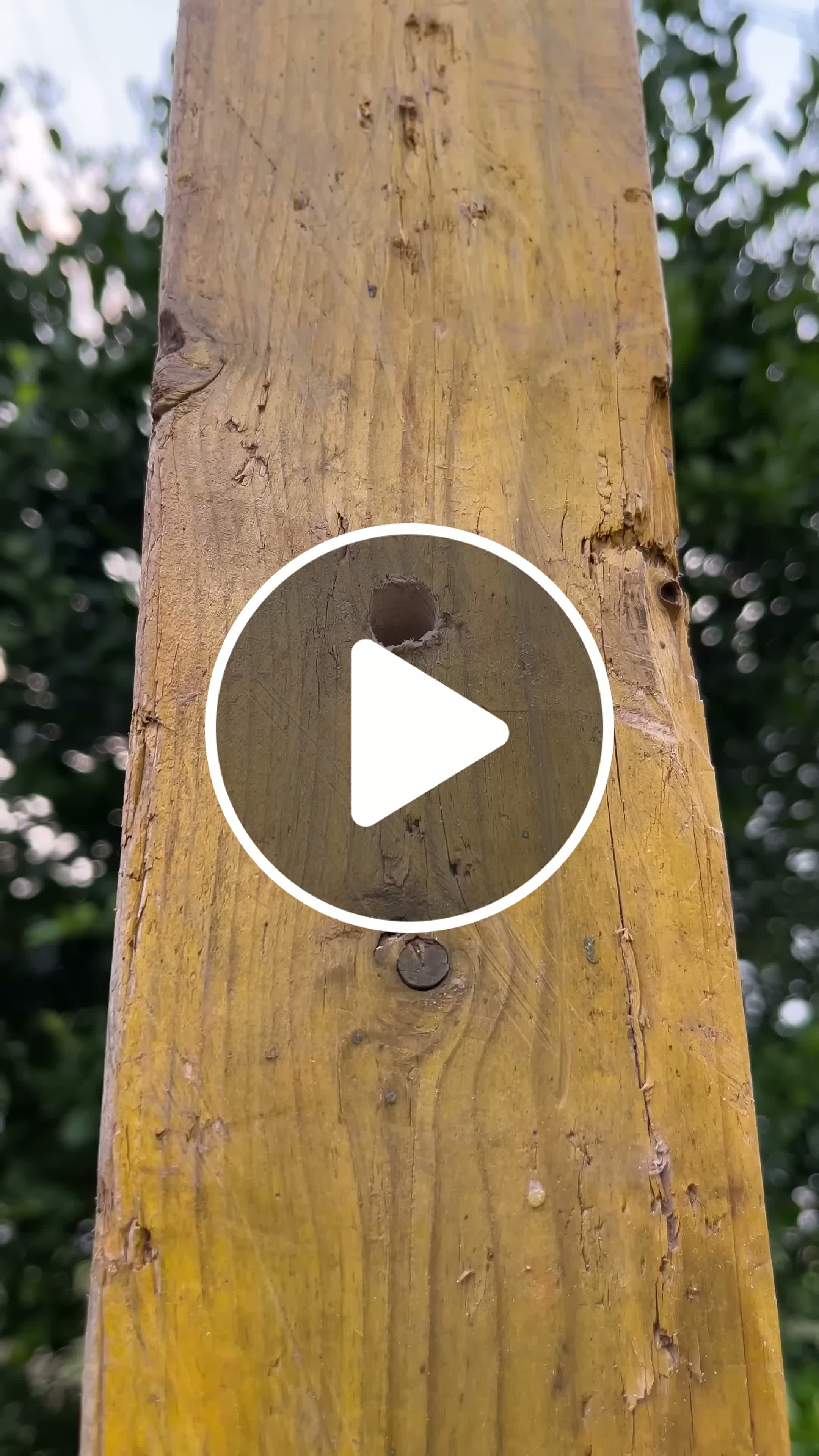 Genius... So Easy to Secure Pipes to the Wall with Wire! - NewsBreak