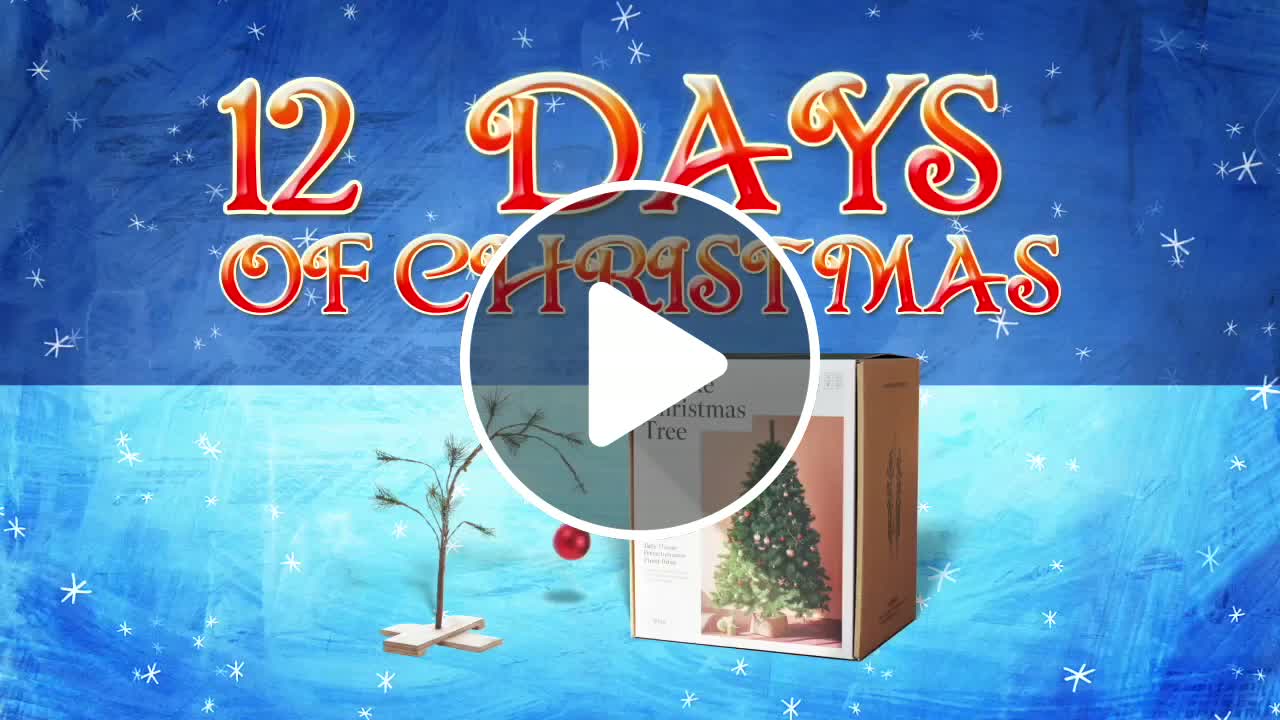 Matter for Mallory's 12 Scams of Christmas Wrap Up - NewsBreak