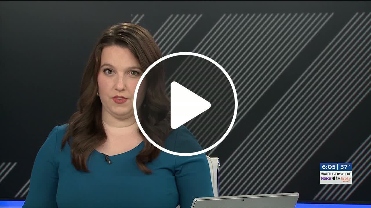 City of Staunton to end relationship with Flock Safety, remove license ...